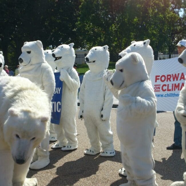 5 Langkah Memilih Pembuat Kostum Maskot Terbaik • Surya Maskot
