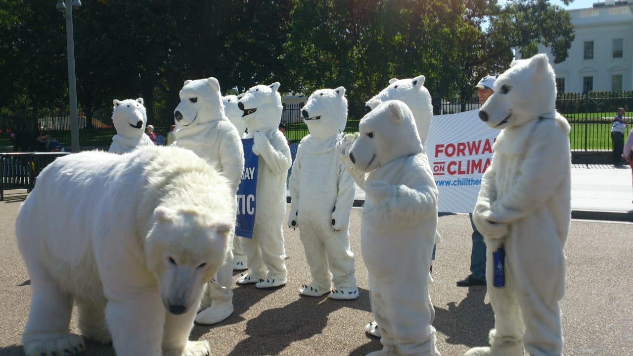5 Langkah Memilih Pembuat Kostum Maskot Terbaik • Surya Maskot