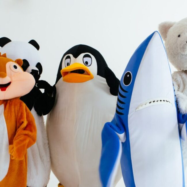 Simak Jenis, Fungsi dan Contoh Maskot! • Surya Maskot