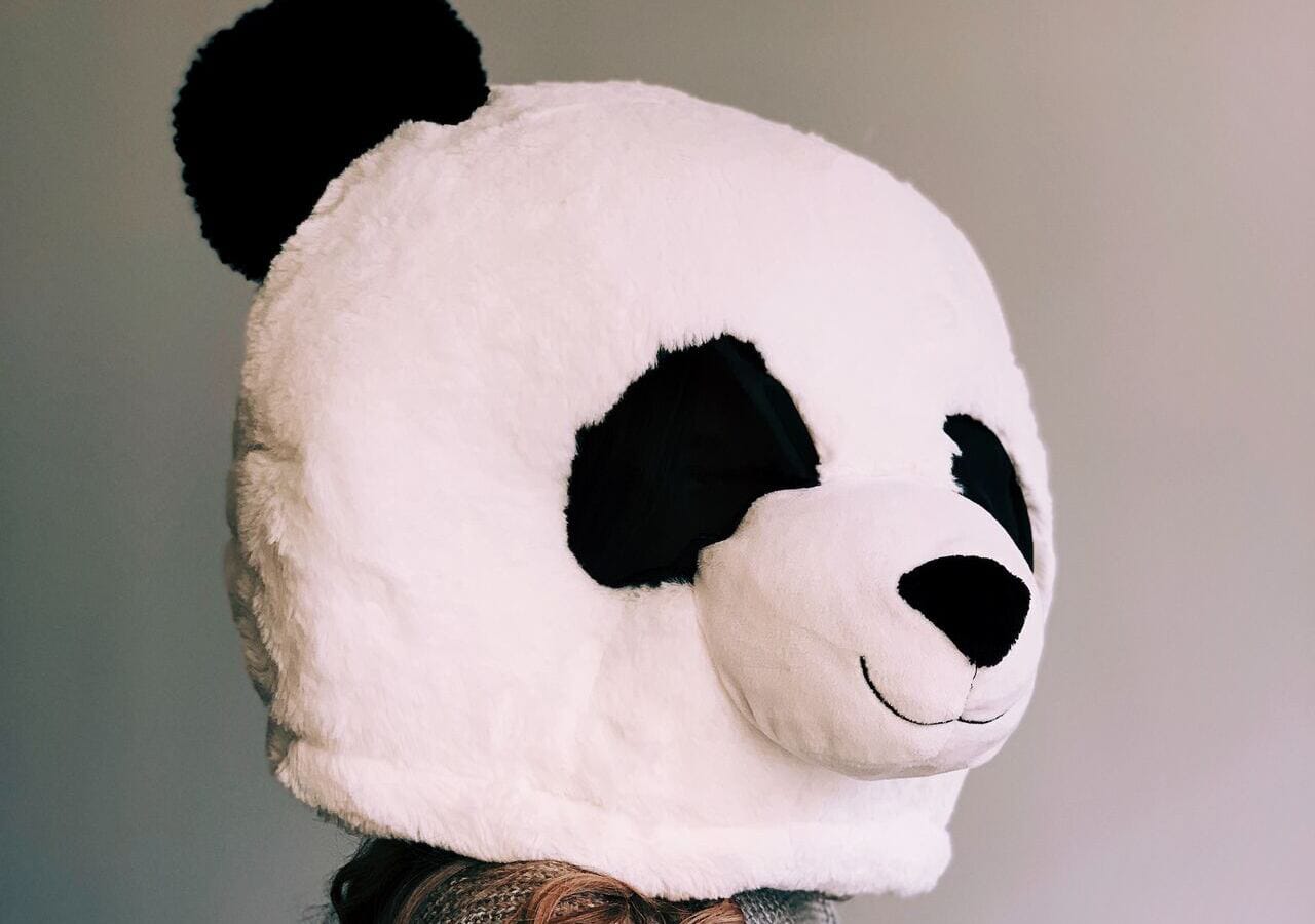 Faktor-faktor Yang mempengaruhi Harga Kostum Panda • Surya Maskot